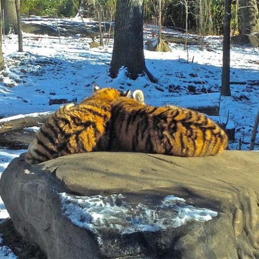 Word Illness – Clarissa's Blog